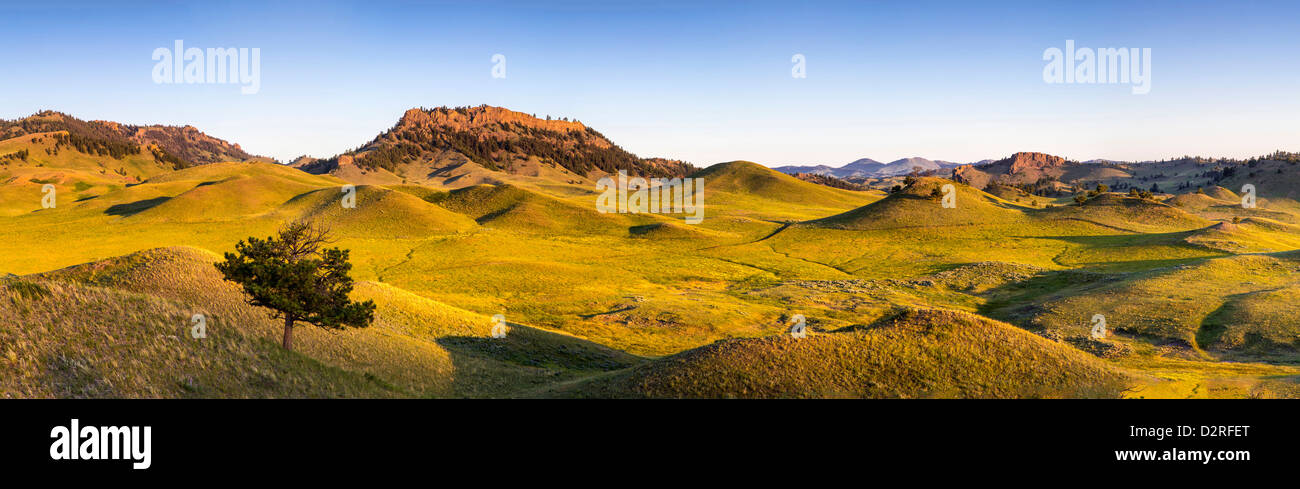 Panoramic of the Bears Paw Mountains in summer in Blaine County ...