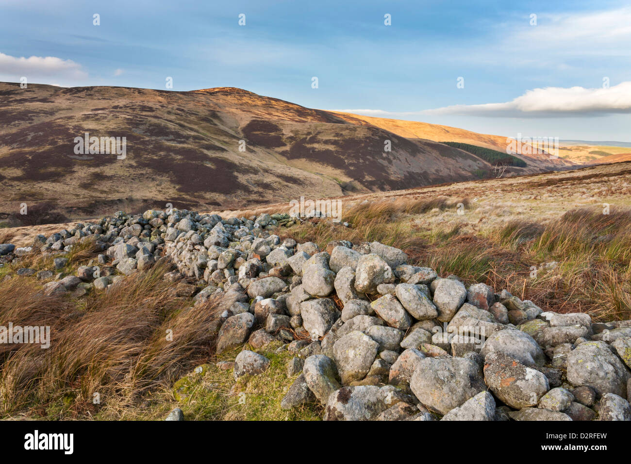 Line of stones near to Housey Crag, pointing across the Harthope Valley ...
