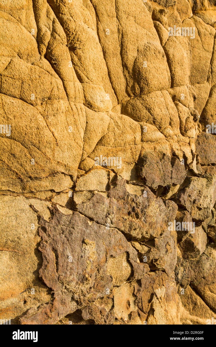 Rock patterns in sandstone at Howick on the Northumbrian coast, England ...