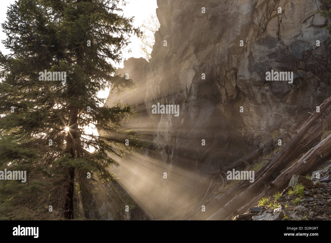Usa montana lolo national forest hi-res stock photography and images ...