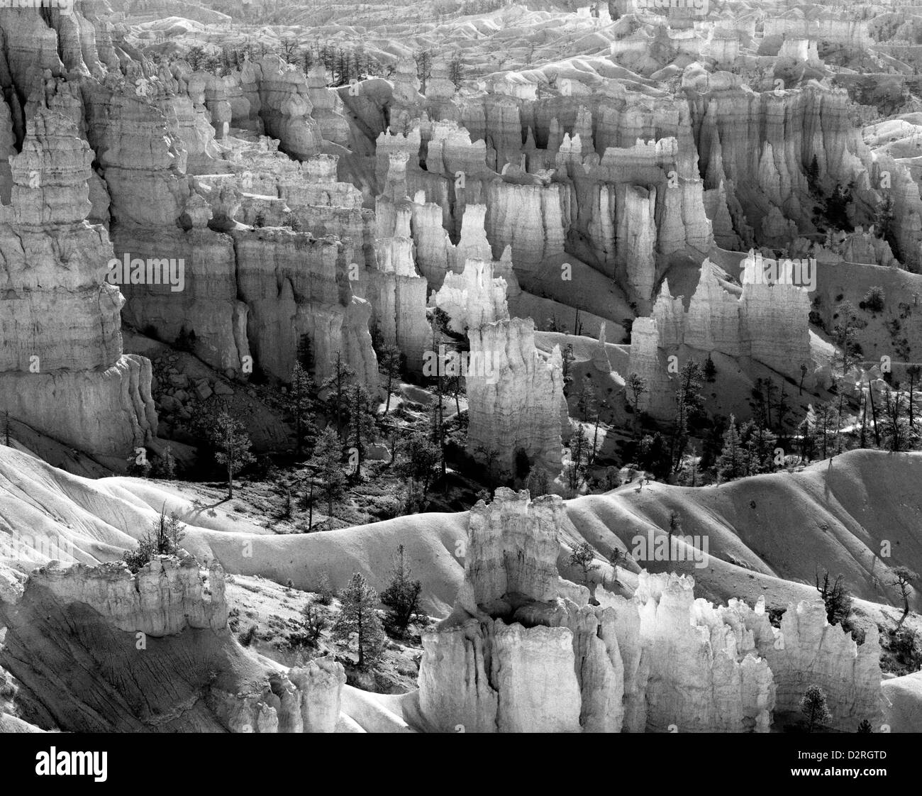 BW01593-00...UTAH - Hoodoos in Bryce Canyon National Park Stock Photo ...