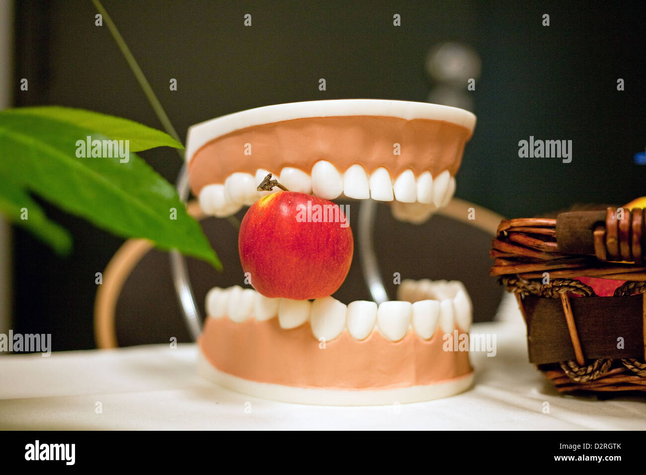 Berlin, Germany, teeth model with apple at the fair as a health ...