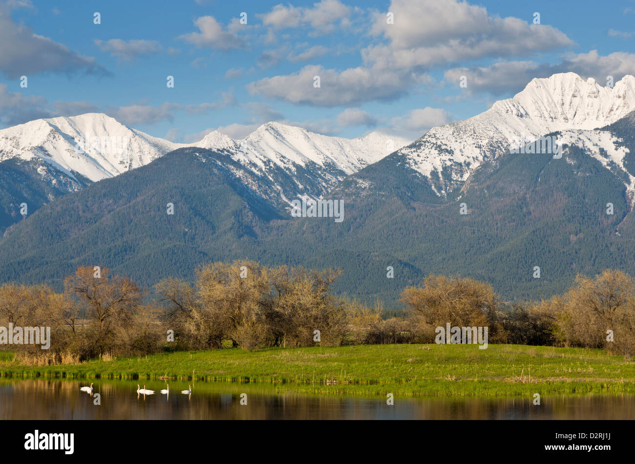 Swan valley swan mountain range hi-res stock photography and images - Alamy