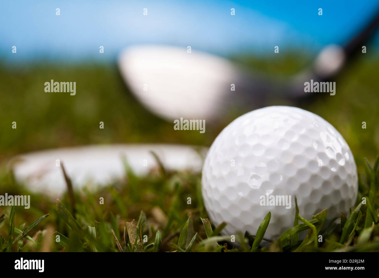 Golf club and ball in grass Stock Photo - Alamy