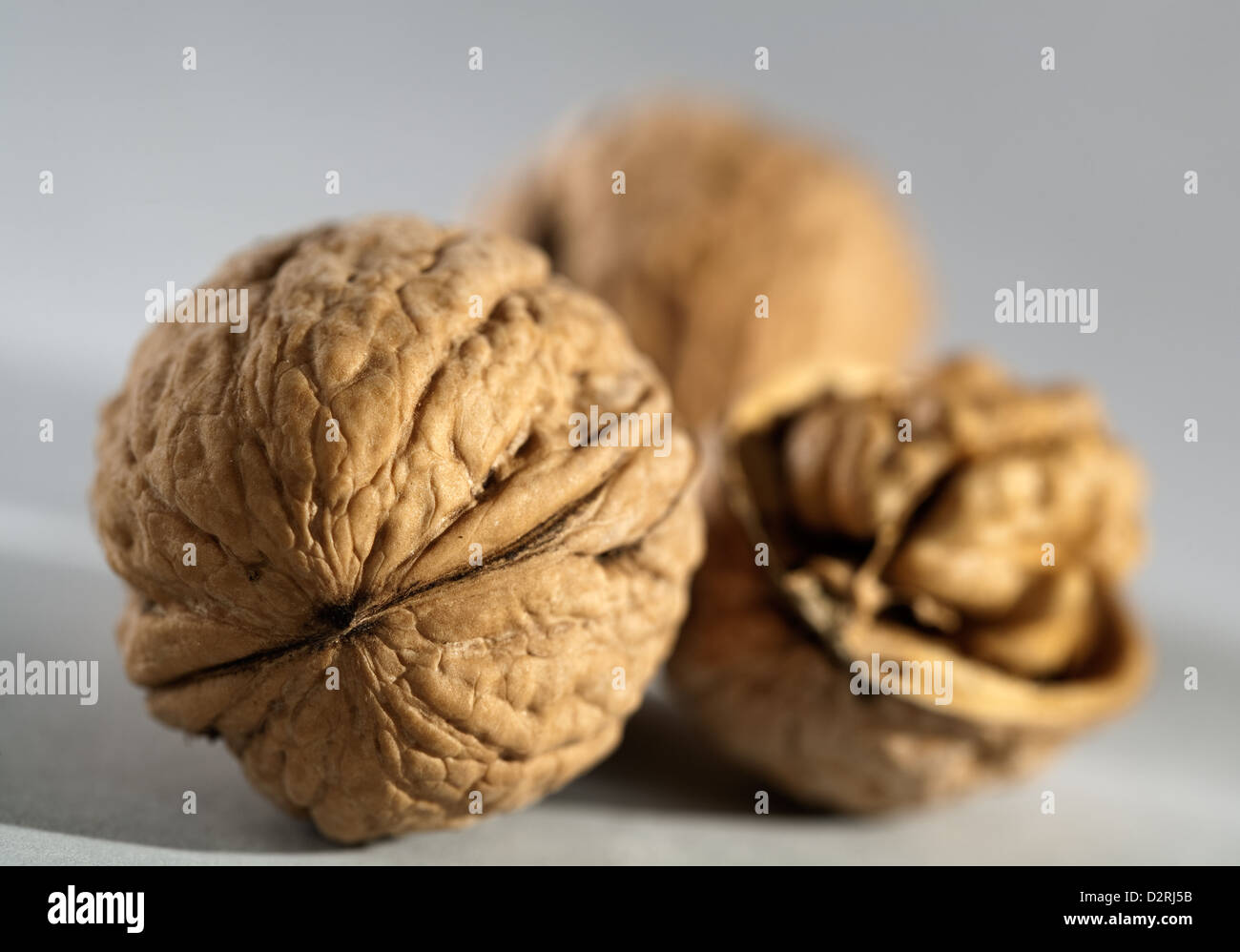 walnut over grey background still-life. is not isolated image Stock ...