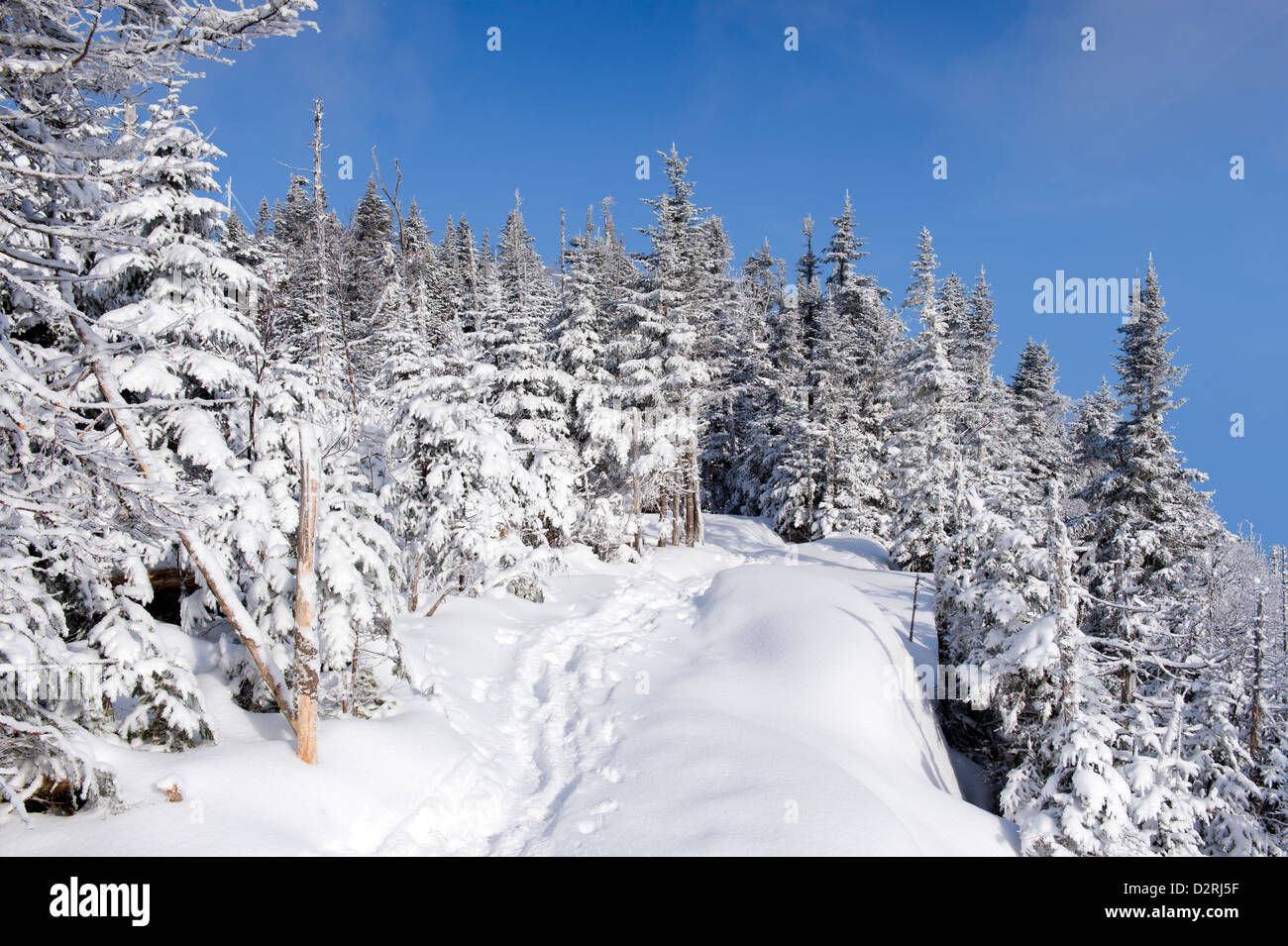 Hiking trail covered in snow Stock Photo - Alamy