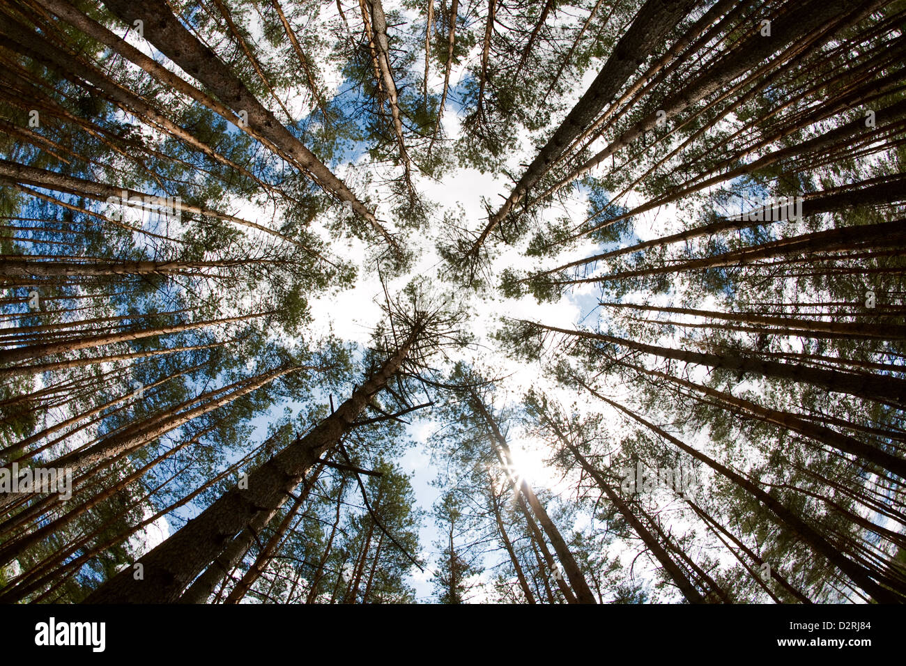 Shot with fisheye lens hi-res stock photography and images - Alamy