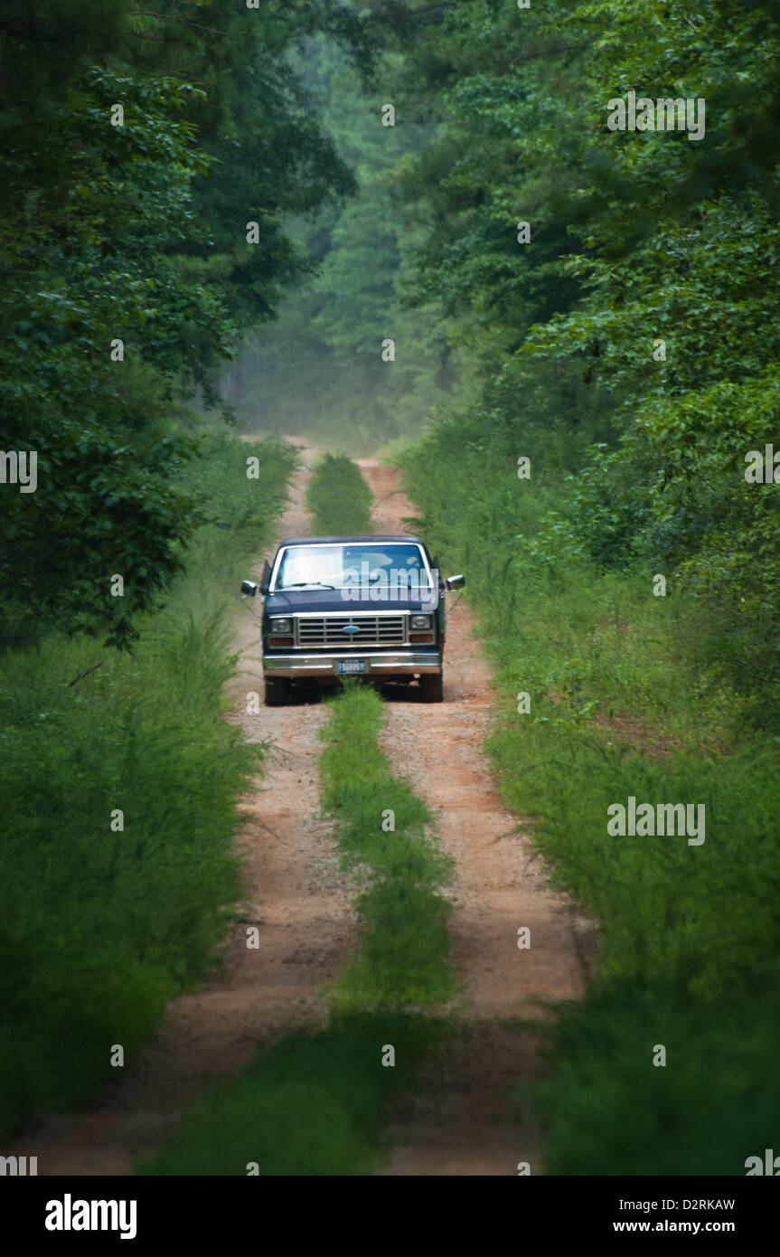 Old pickup truck driving down a dirt road in the forest, Columbus ...