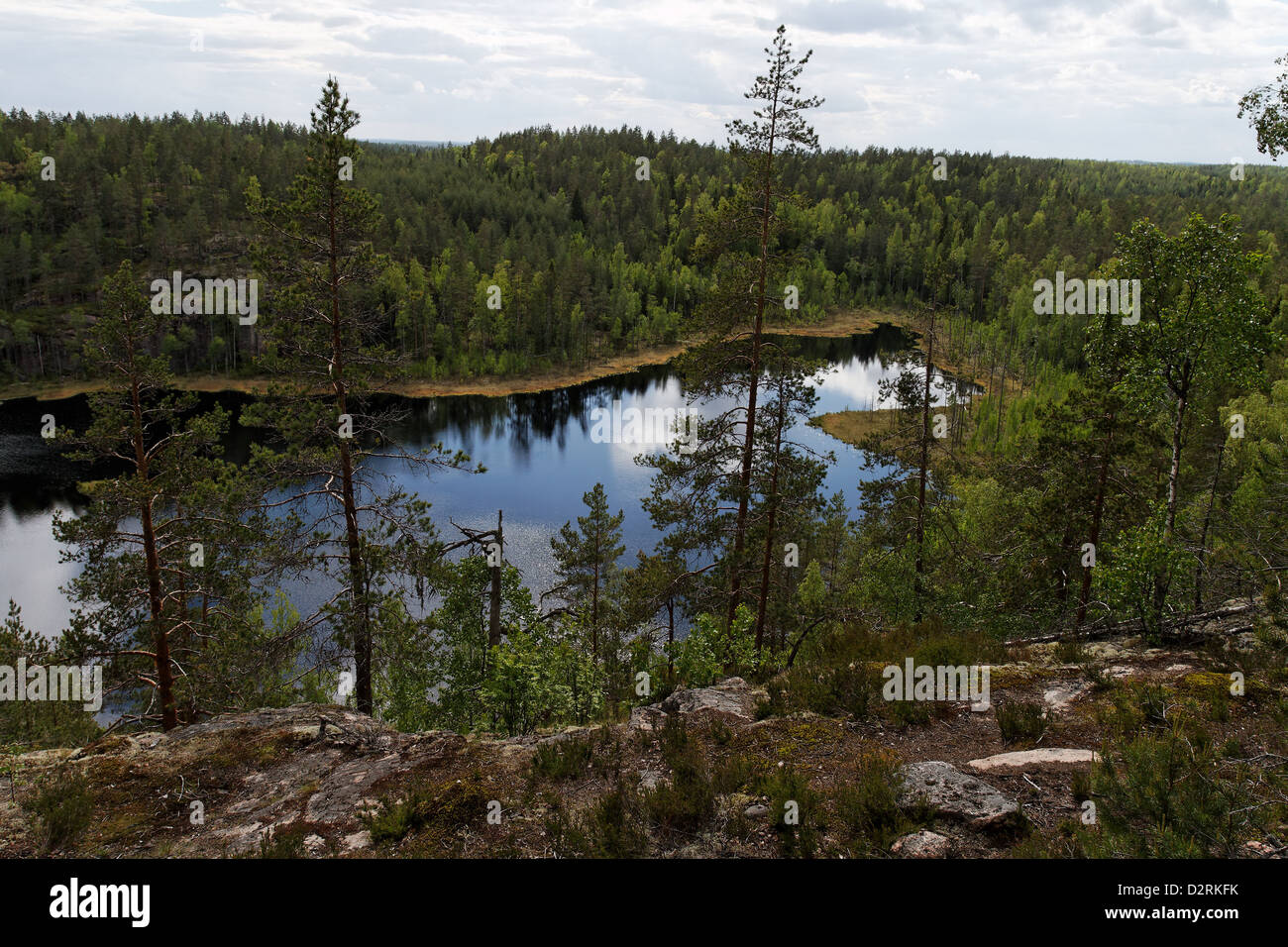 Repovesi national park forest lake hi-res stock photography and images ...