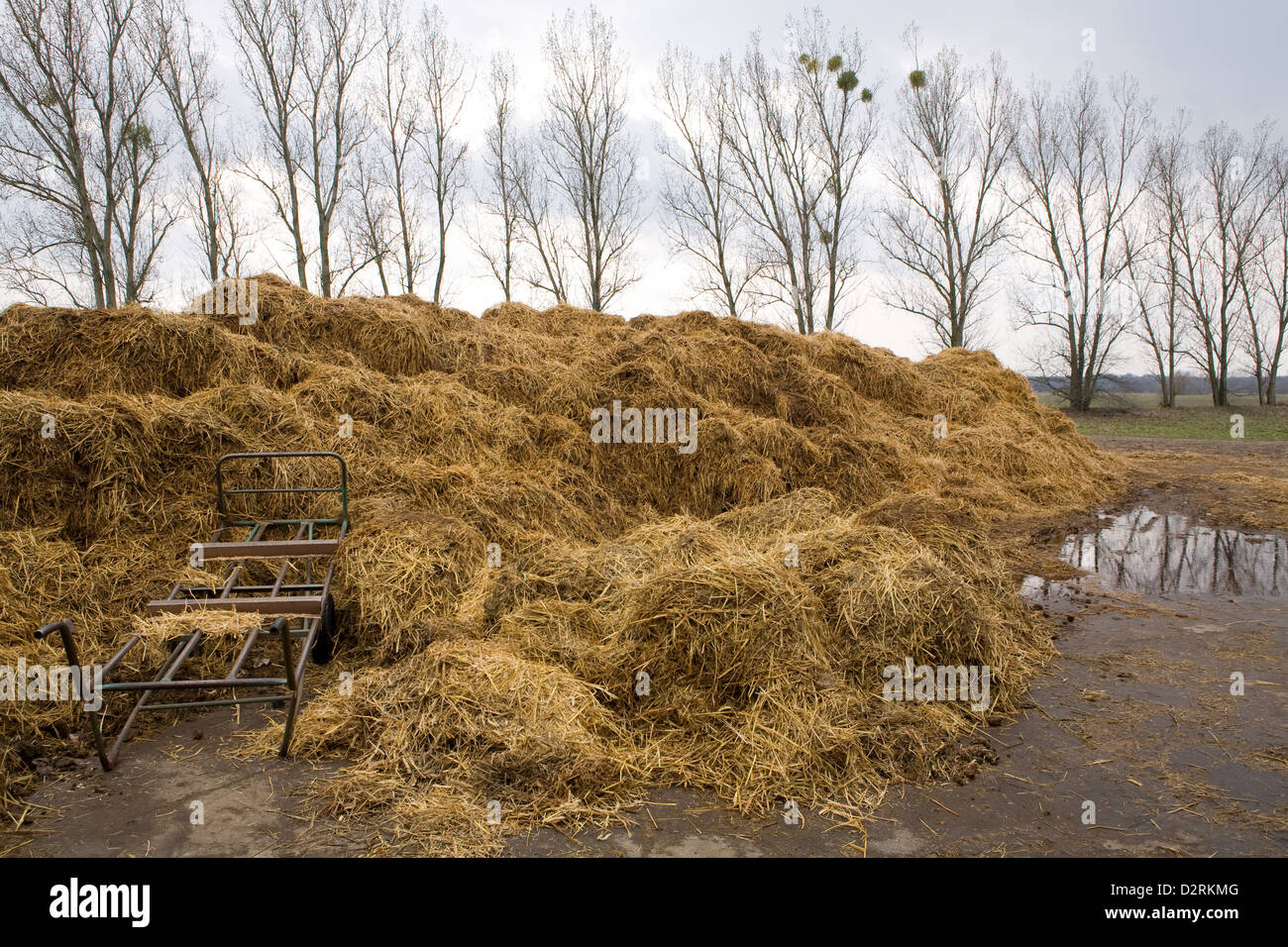 Pairs, Germany, dunghill Stock Photo - Alamy
