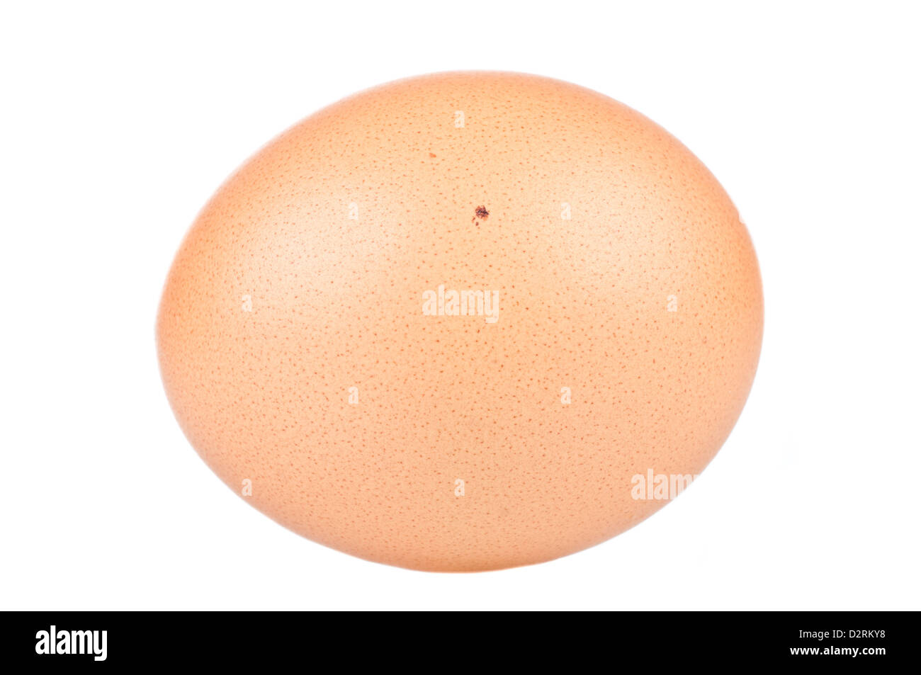 Raw egg close up Cut Out Stock Images & Pictures - Alamy