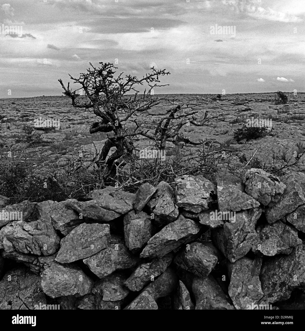 Burren, Co Clare, Ireland Stock Photo - Alamy