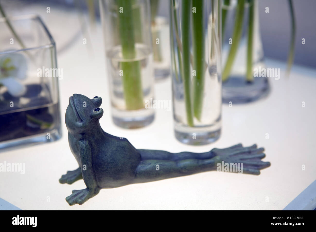Berlin, Germany, frog in a flower shop as a decorative element Stock ...