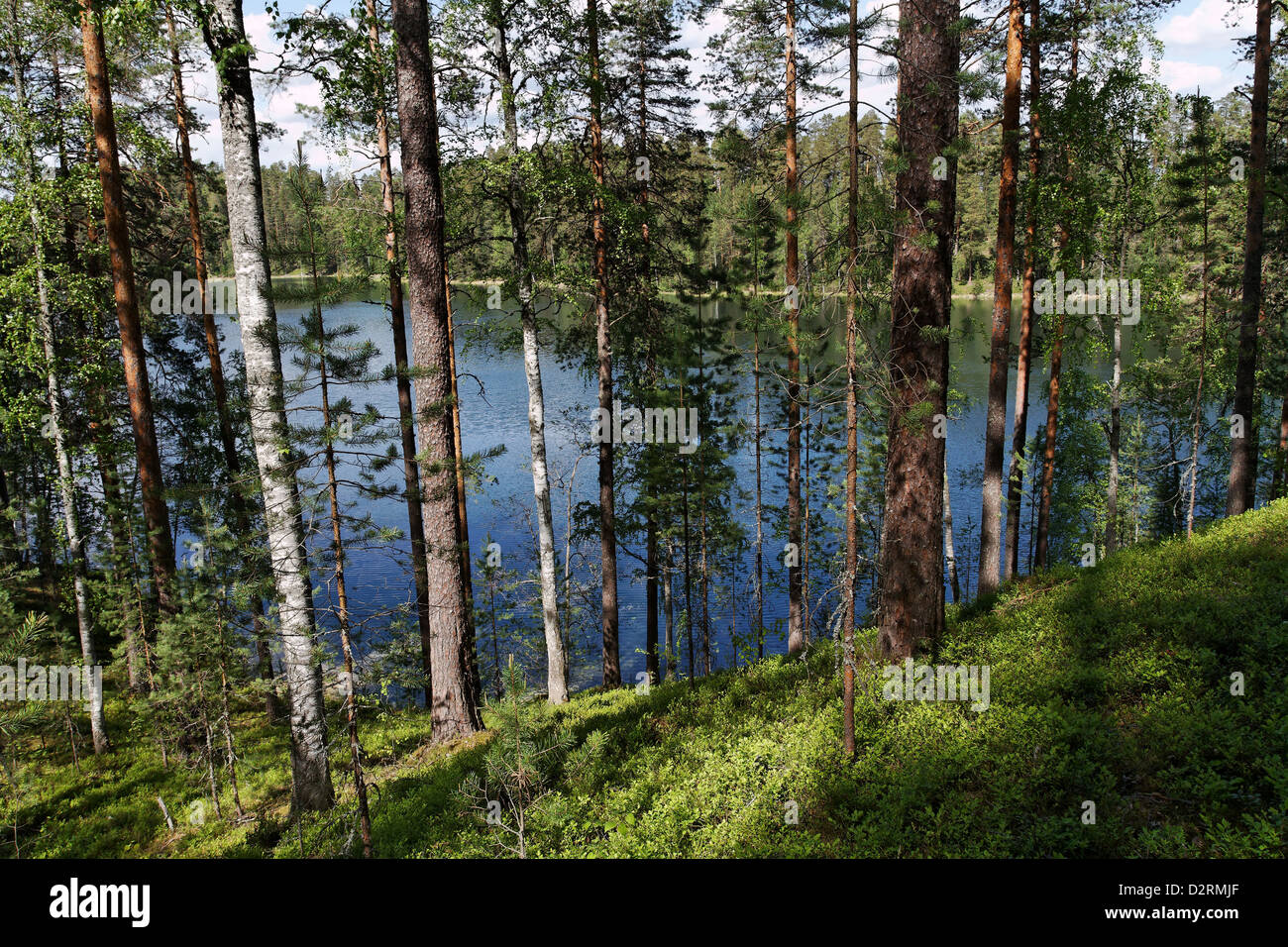 Esker south hi-res stock photography and images - Alamy
