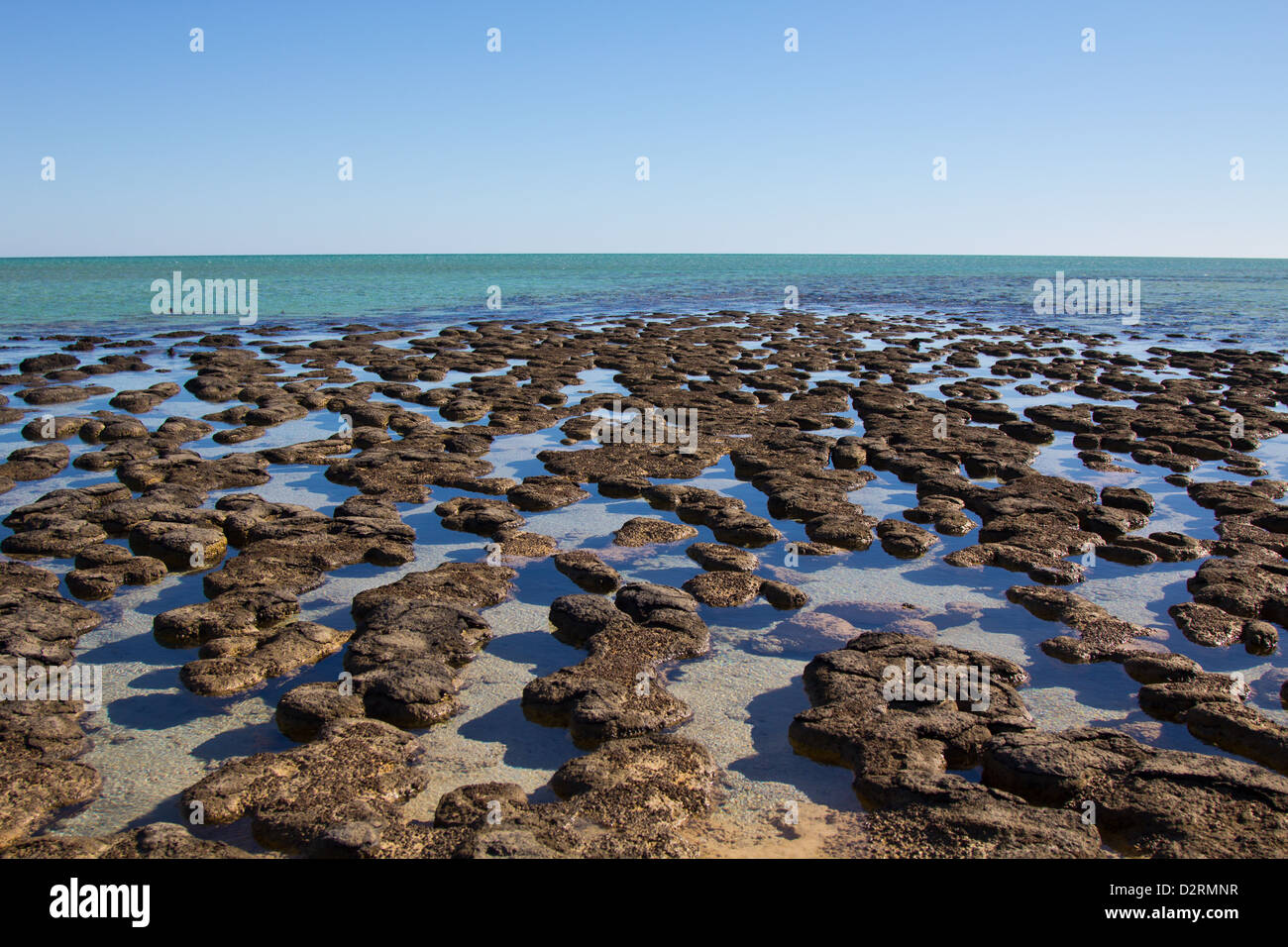 Stromatolites fossils hi-res stock photography and images - Alamy
