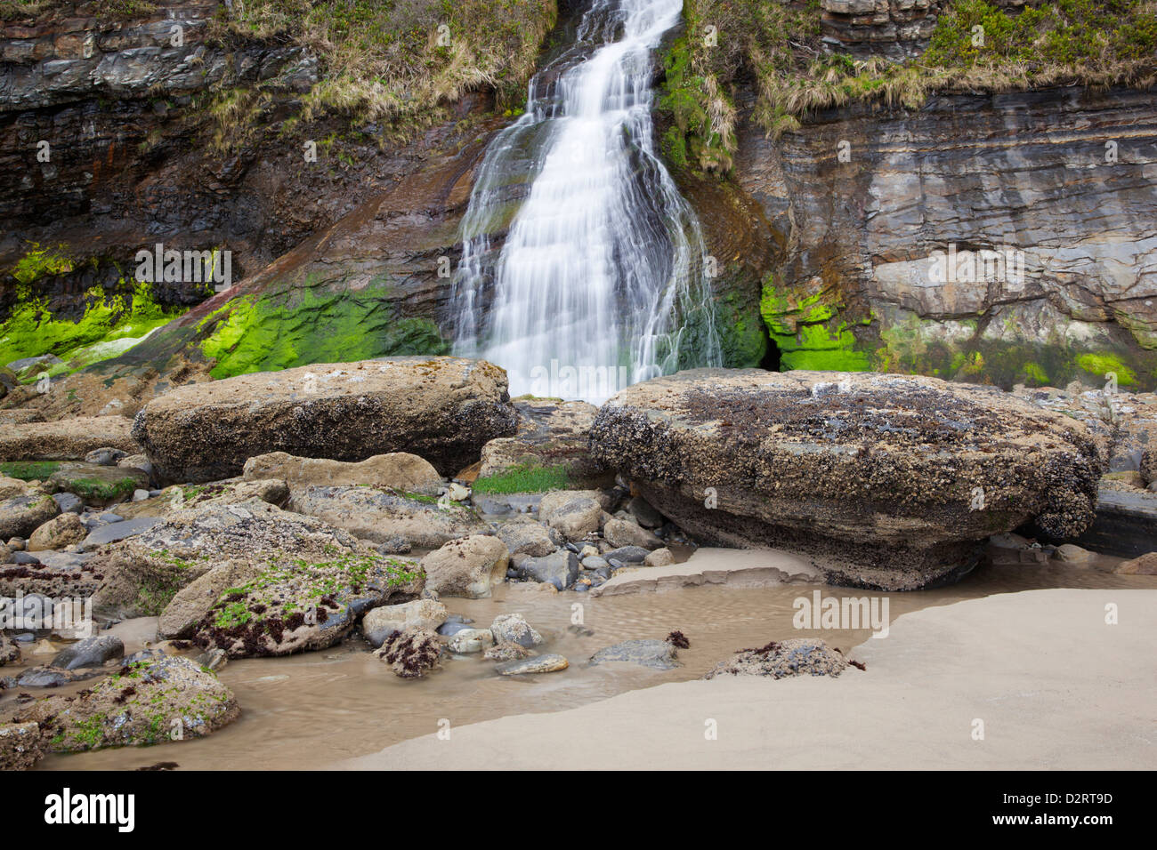 OR, Oregon Coast, Oswald West State Park, Blumenthal Falls, at Short ...