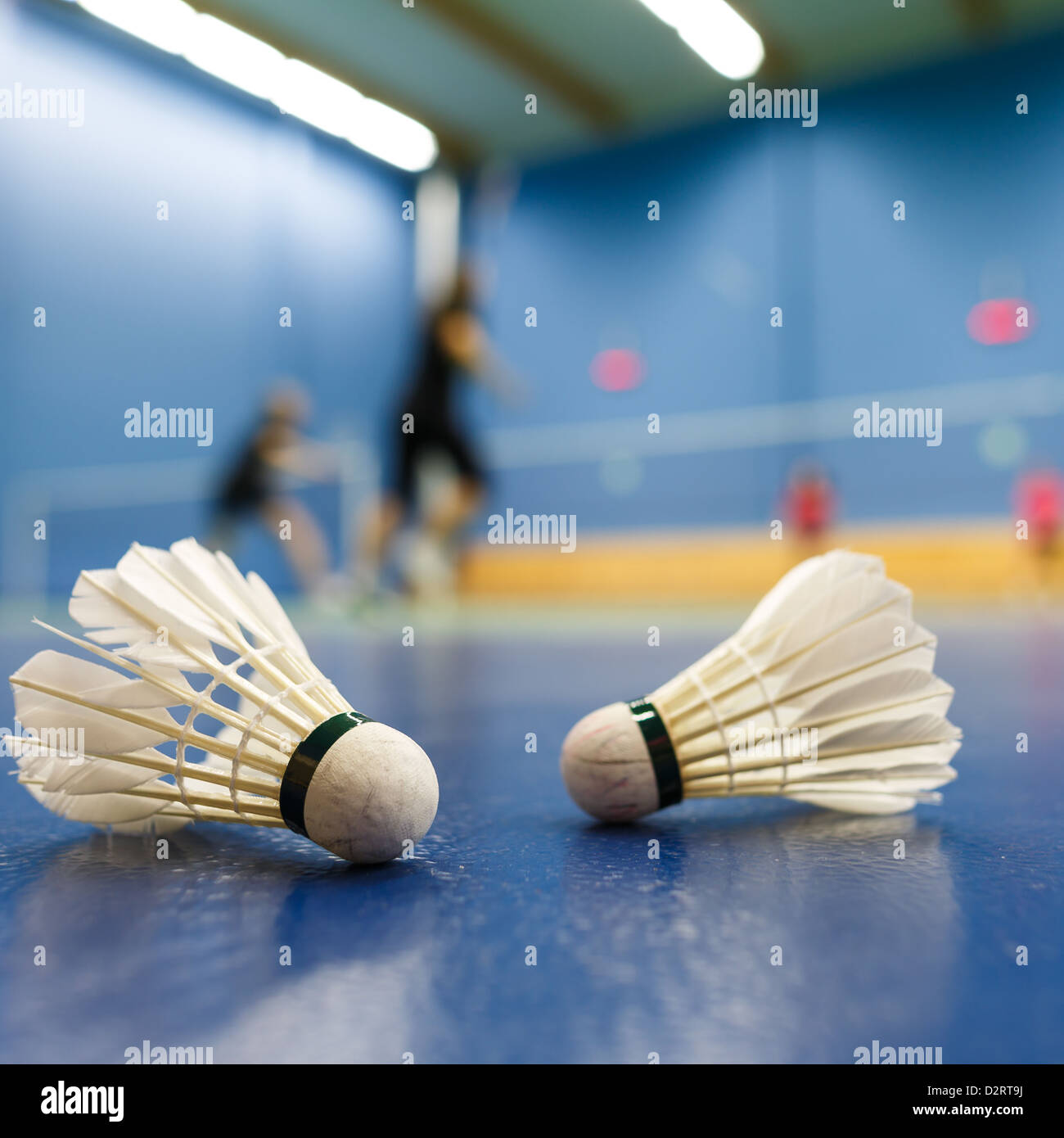 badminton - badminton courts with players competing; shuttlecocks in ...