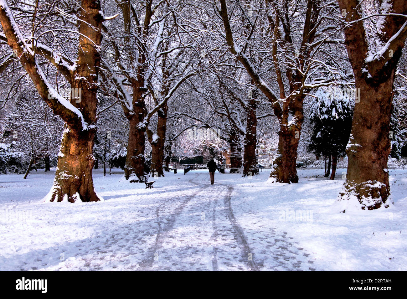 Snow pathway hi-res stock photography and images - Alamy