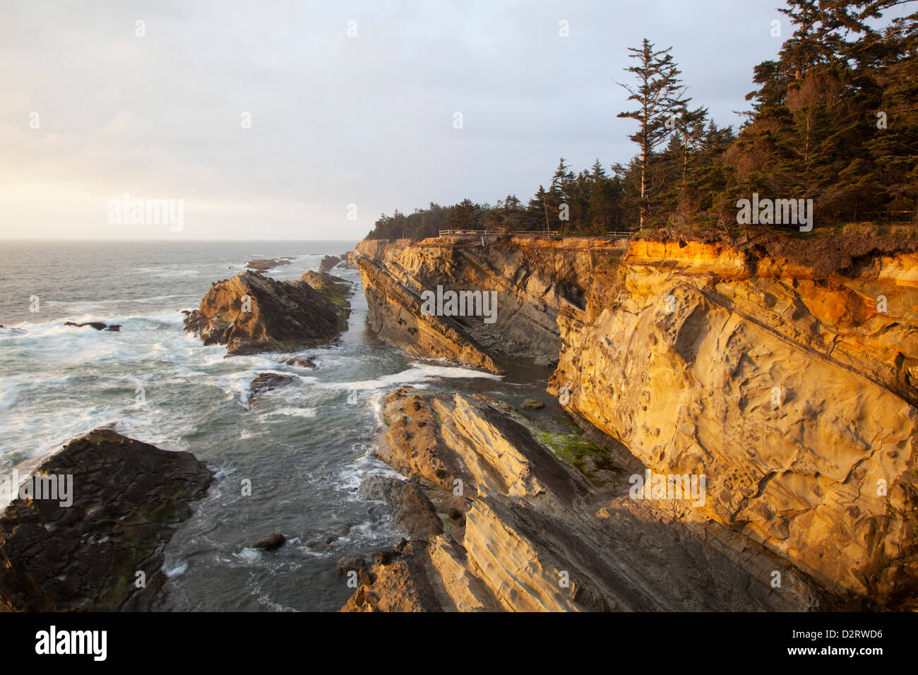 OR, Shore Acres State Park, sandstone cliffs and shore line Stock Photo ...