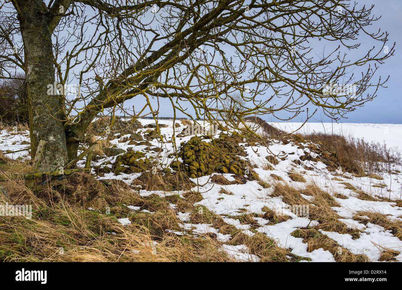A winter scene at Brotherstone, between Kelso and Galashiels, Scottish ...