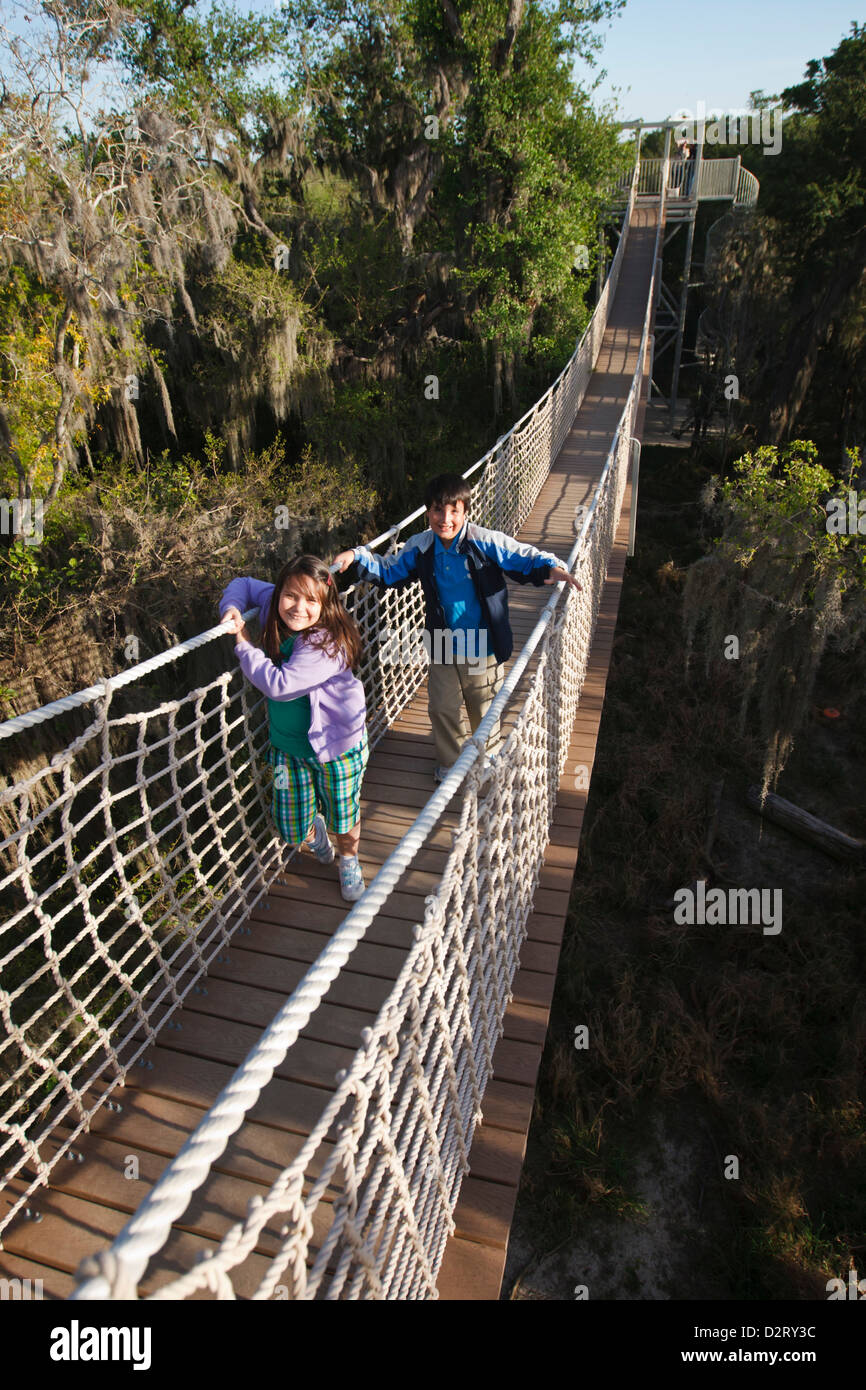 Canopy walk in riparian forest at Santa Ana National Wildlife Refuge ...