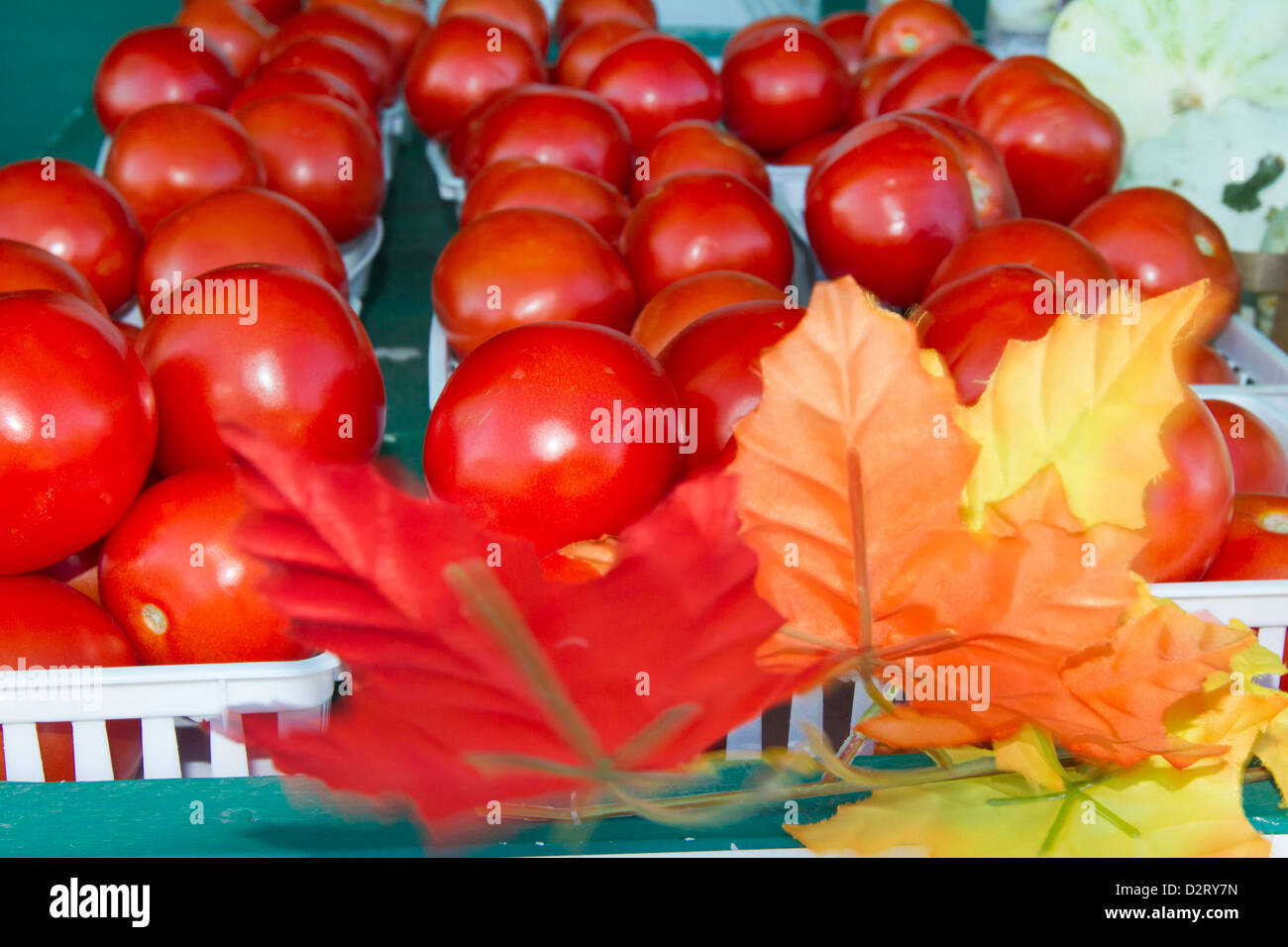 Farmer's Market, autumn in Luling, Texas Stock Photo - Alamy