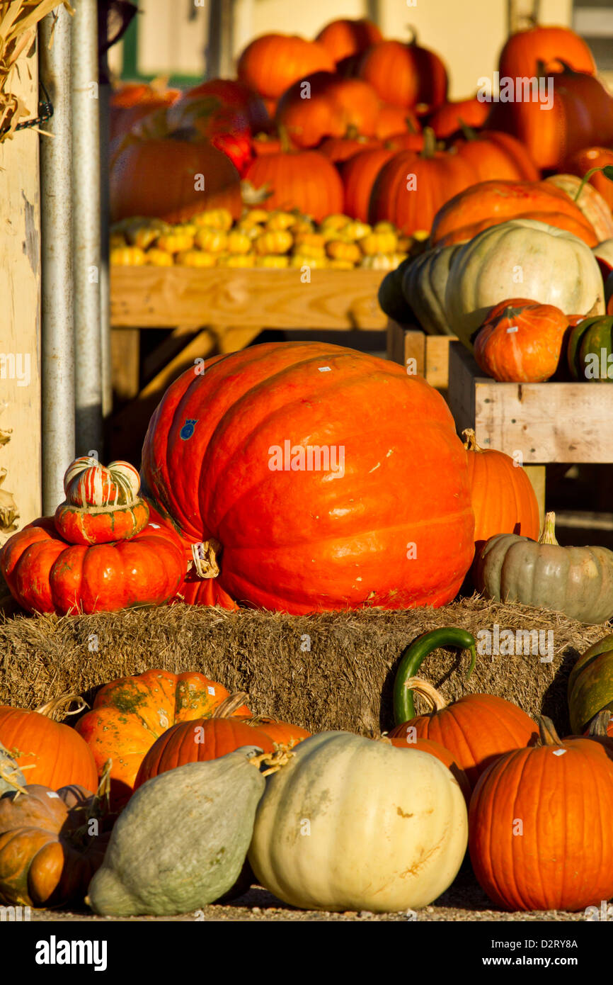 Farmer's Market, autumn in Luling, Texas Stock Photo - Alamy