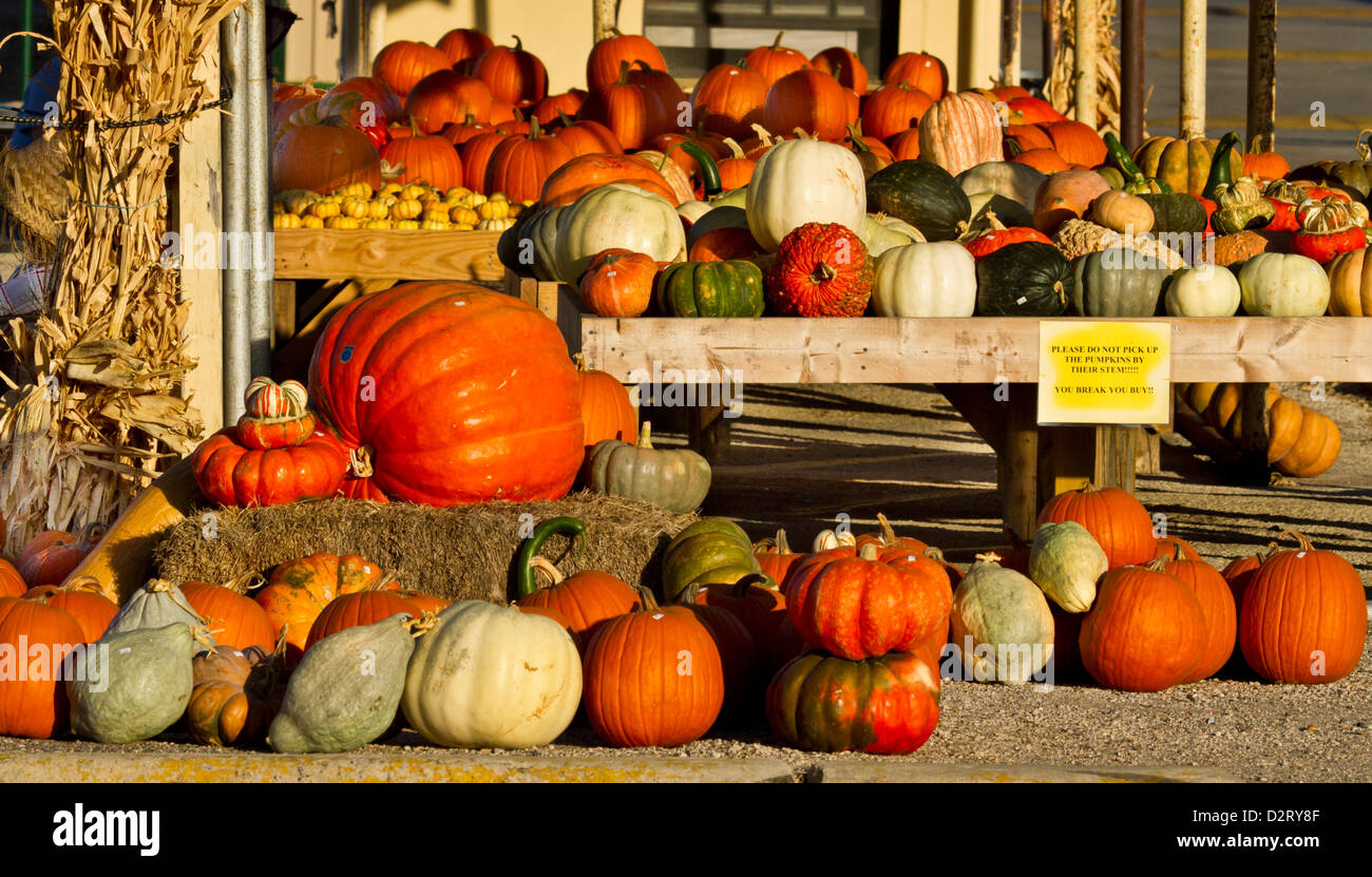 Luling hi-res stock photography and images - Alamy