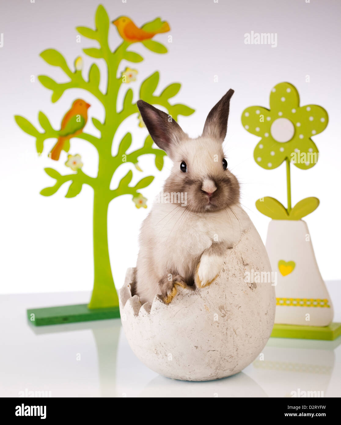 Easter bunny on white background Stock Photo - Alamy
