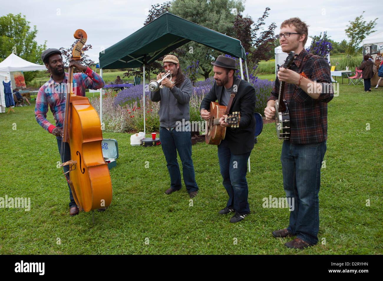 North America, United States, Washington, Sequim, string band musicians ...