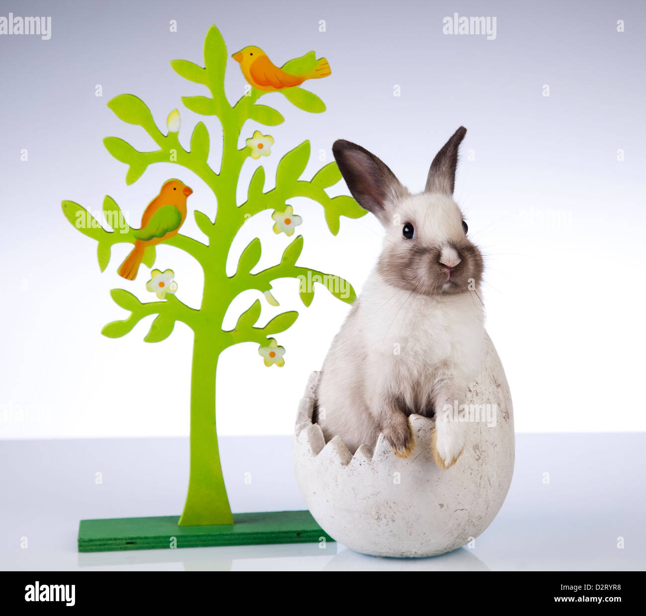 Easter bunny on white background Stock Photo - Alamy