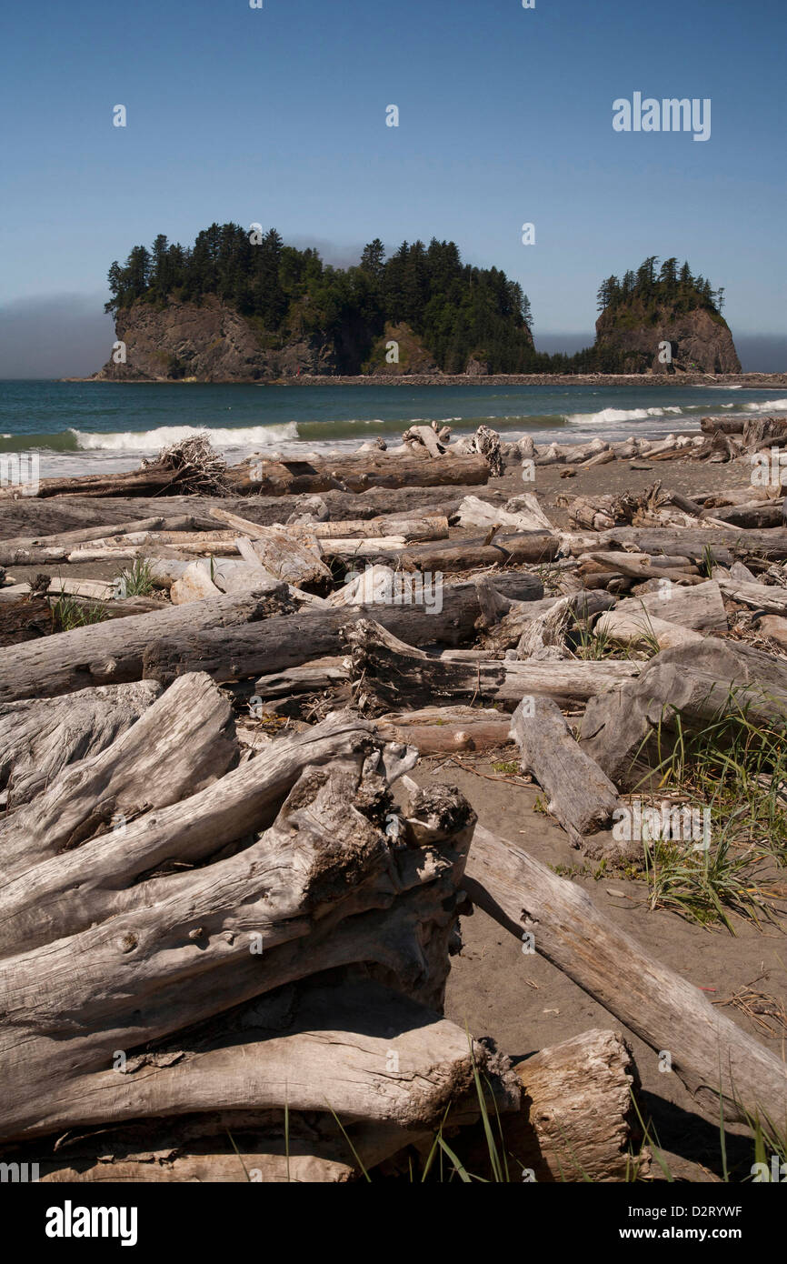 La push beach first hi-res stock photography and images - Alamy
