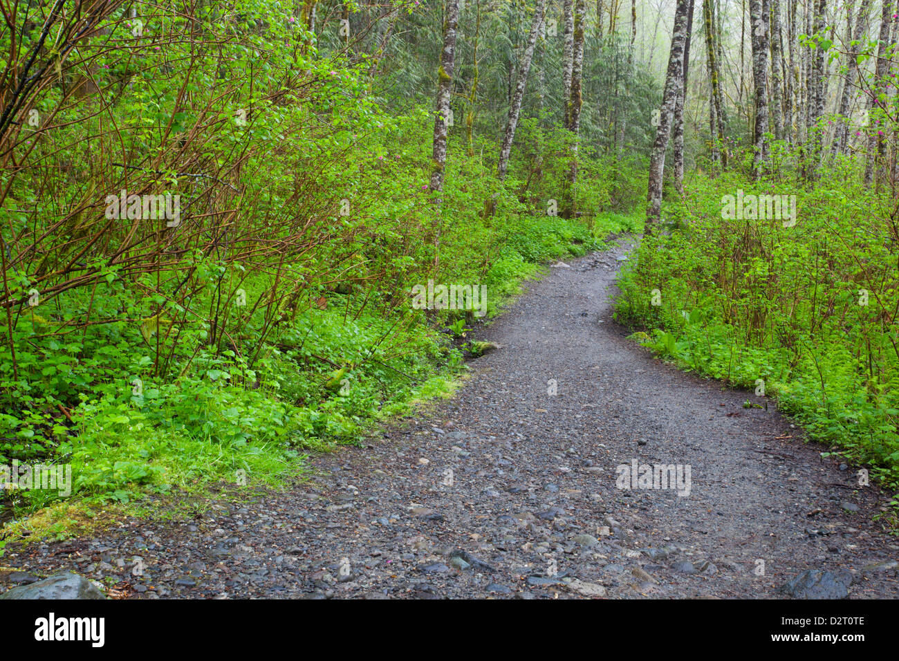 Olallie state park hi-res stock photography and images - Alamy