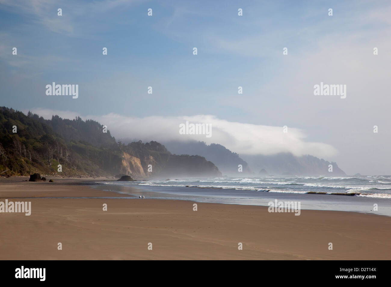 Arcadia beach hi-res stock photography and images - Alamy