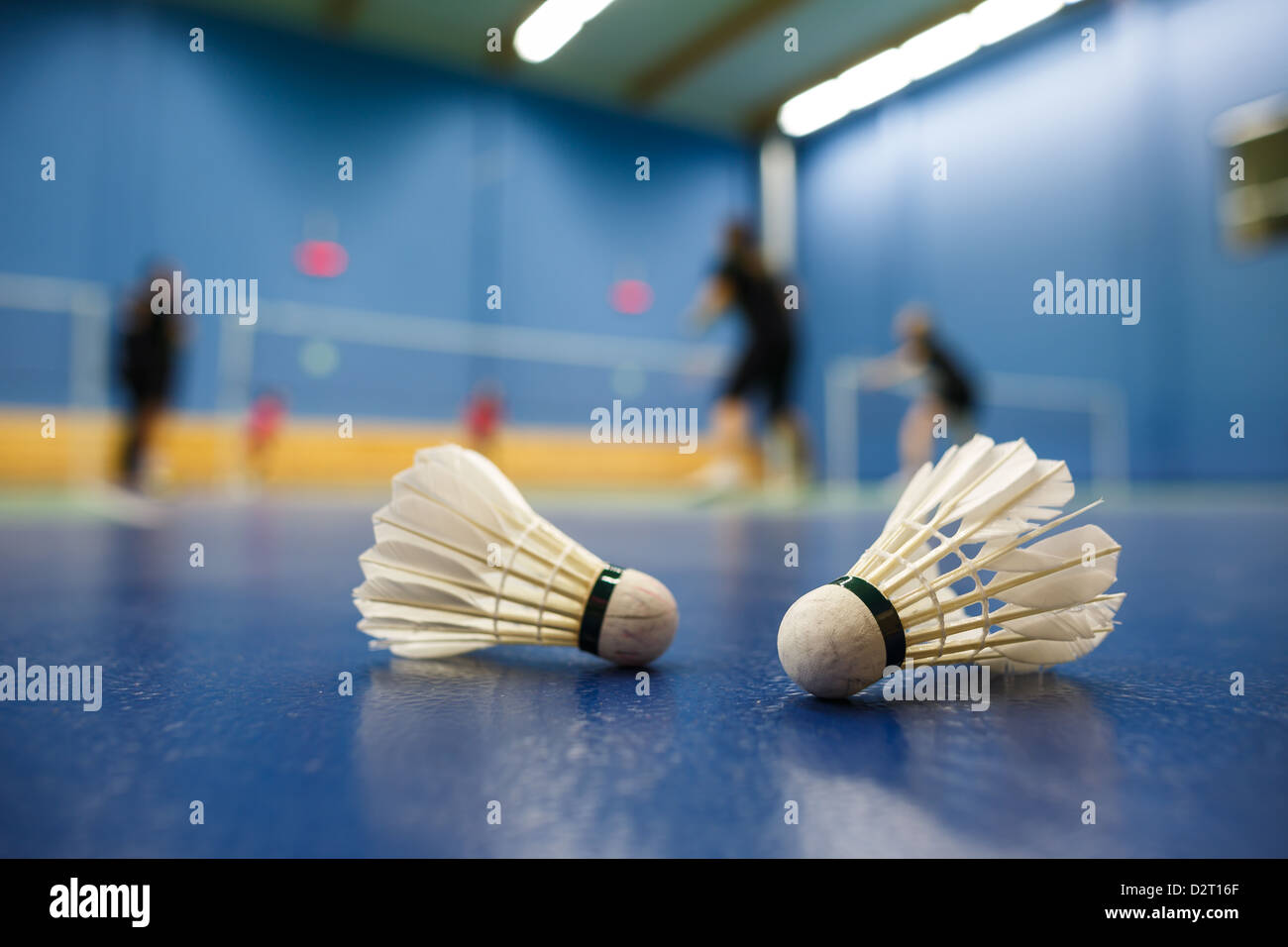 badminton - badminton courts with players competing; shuttlecocks in ...