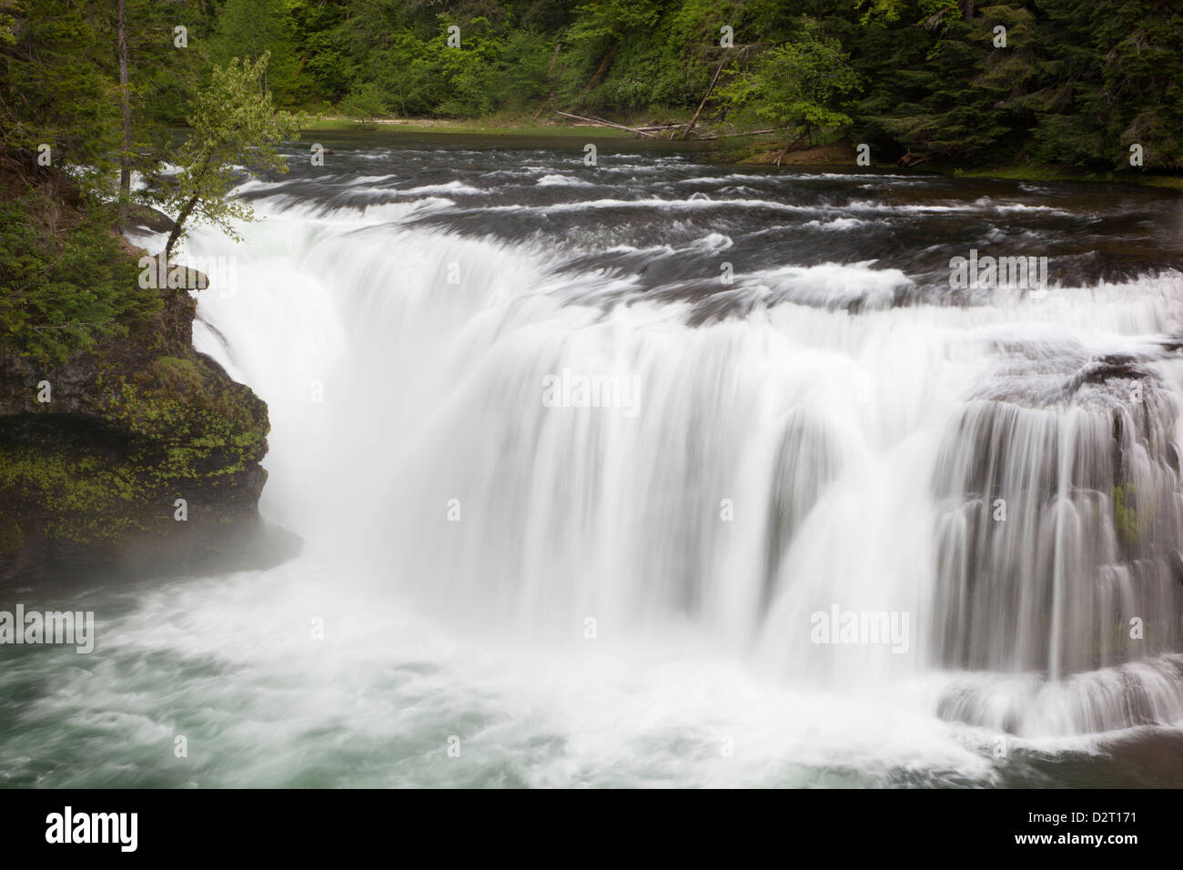 WA, Gifford Pinchot National Forest, Lower Lewis Falls, Lewis River ...