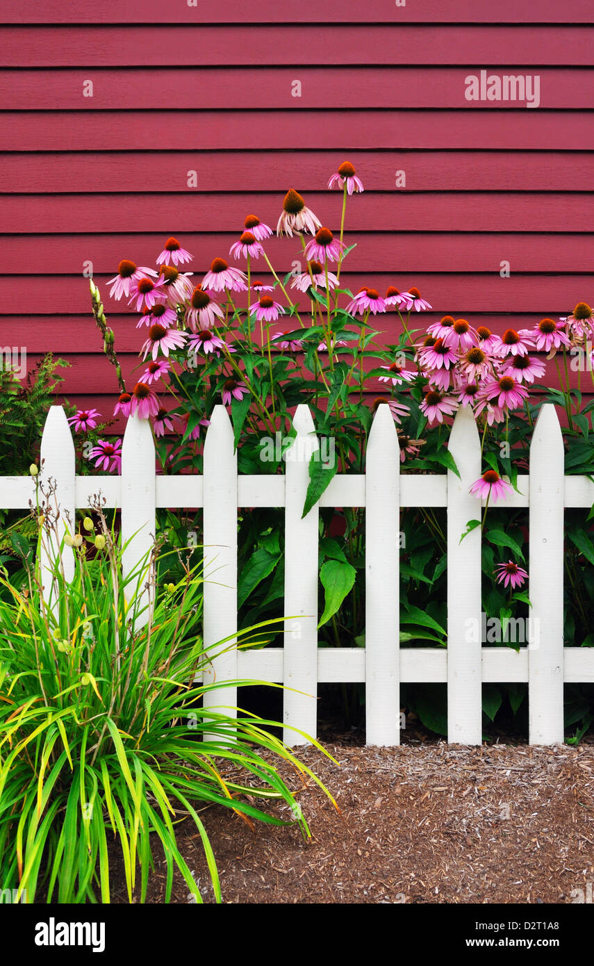 Flowers planted at a house in Connecticut, New England, USA Stock Photo ...