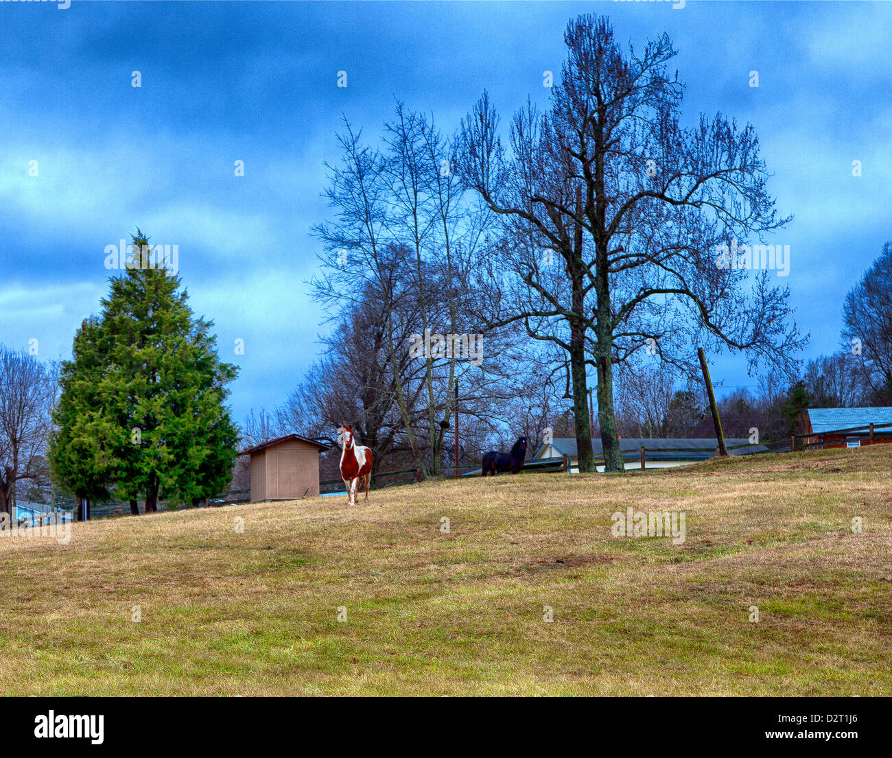 Lone single pasture hi-res stock photography and images - Alamy