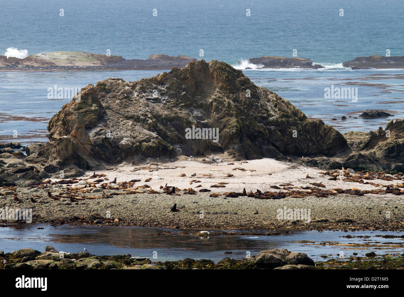 Oregon islands national wildlife refuge hi-res stock photography and ...