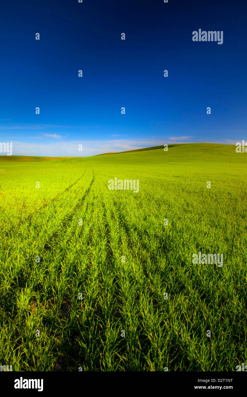 Country wa hi-res stock photography and images - Alamy