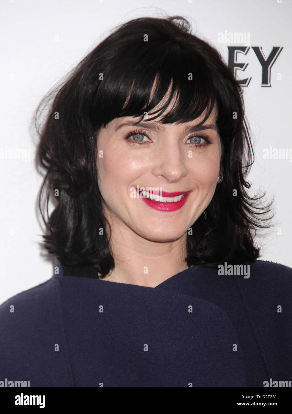 New York, USA. 31st January 2013. Actress MICHELLE HICKS attends the ...