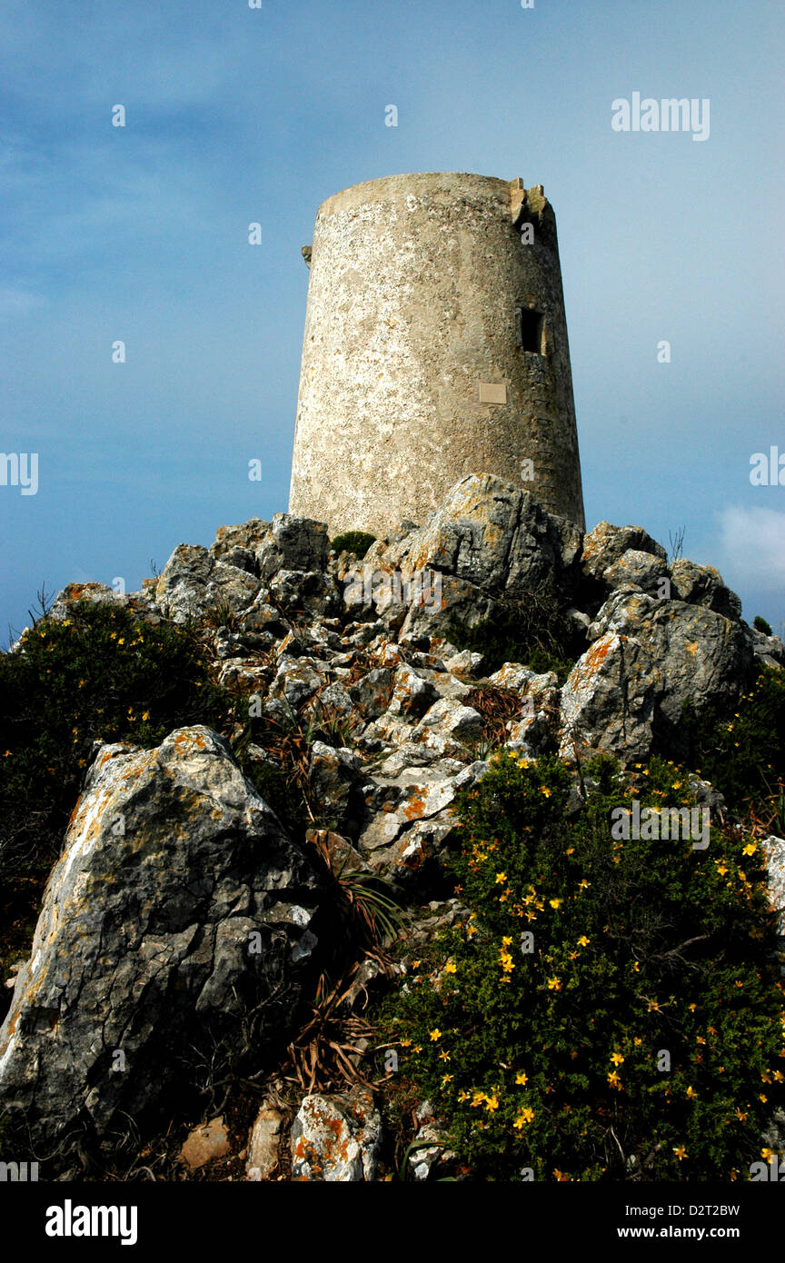 Albercutx hi-res stock photography and images - Alamy