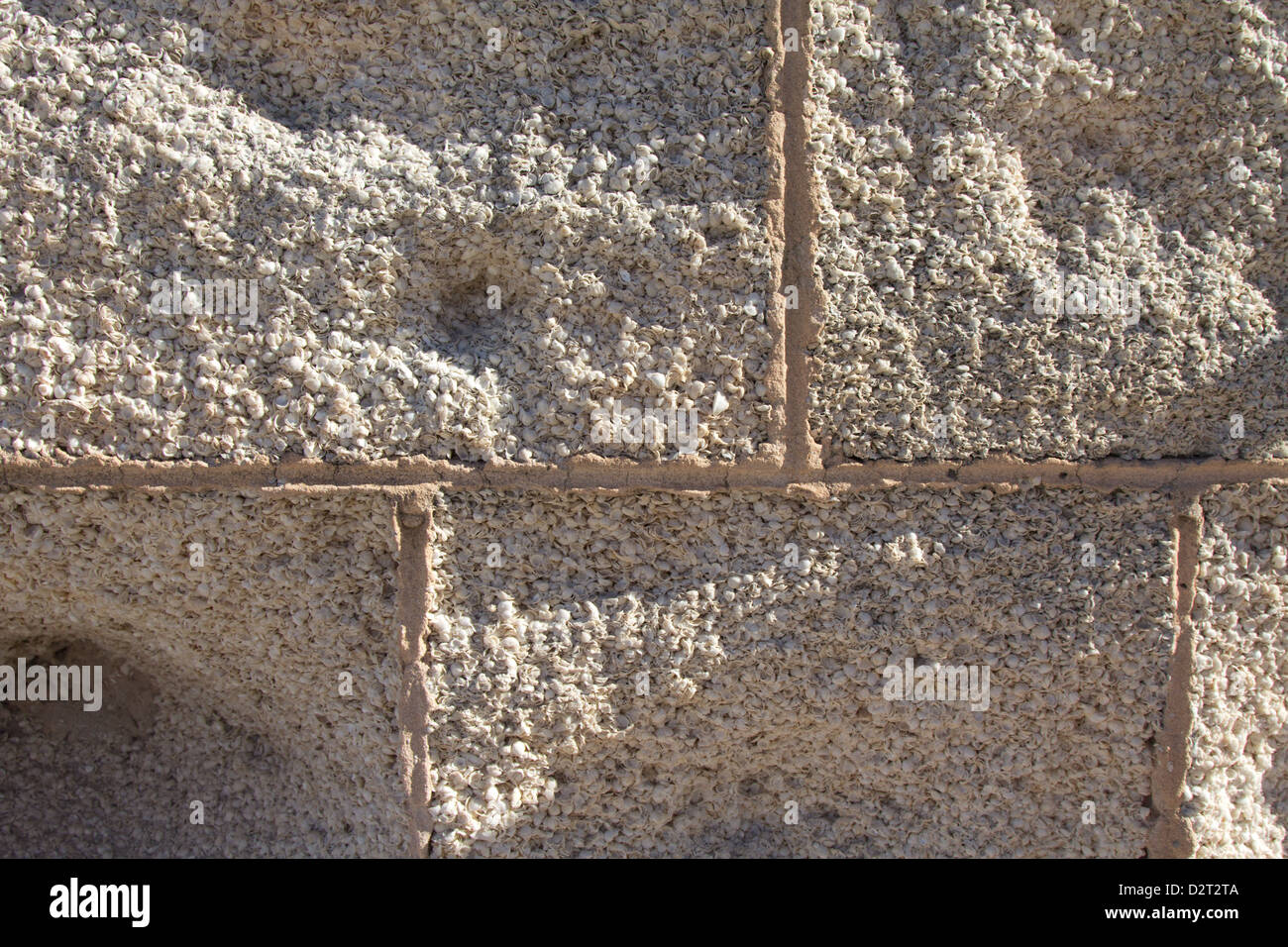 Shell bricks hi-res stock photography and images - Alamy