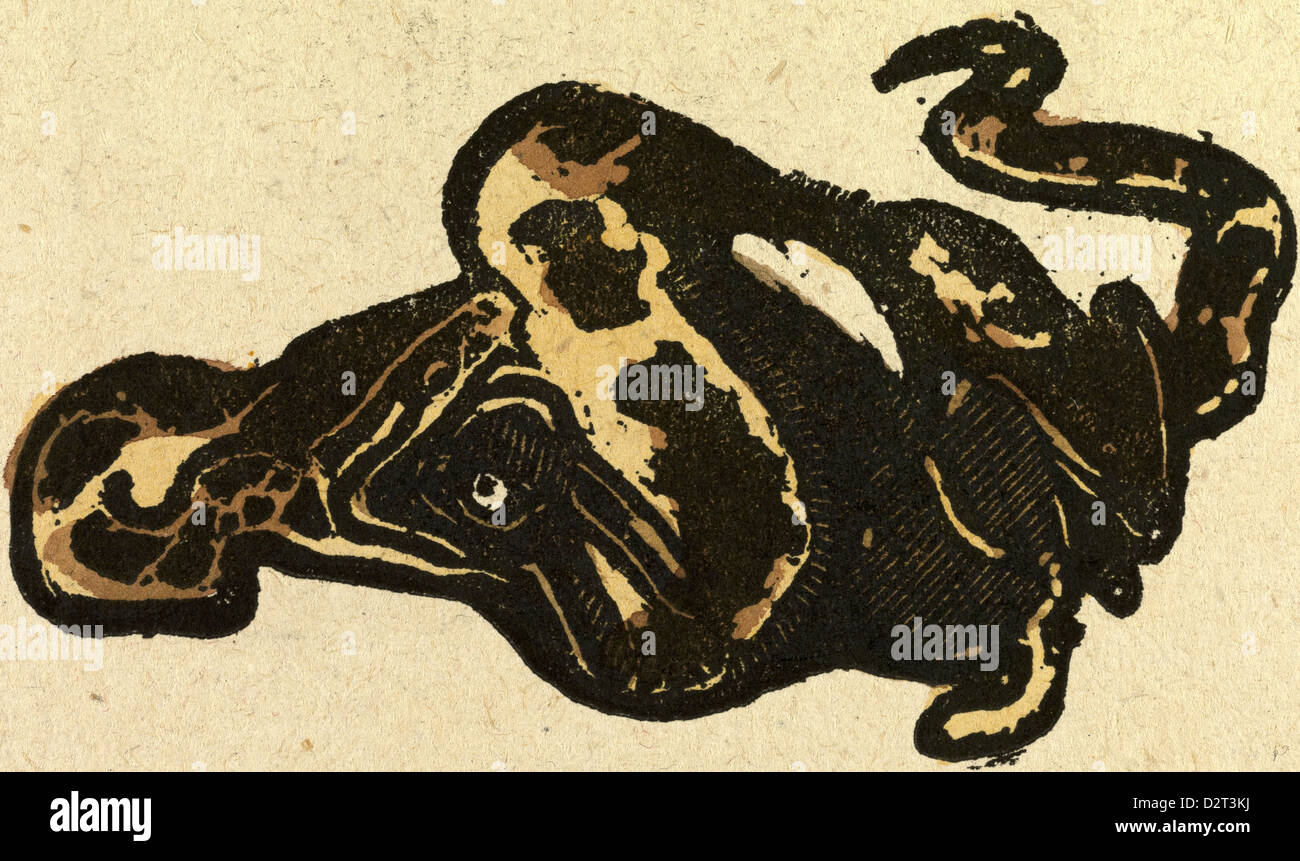 Snake eating rabbit hi-res stock photography and images - Alamy