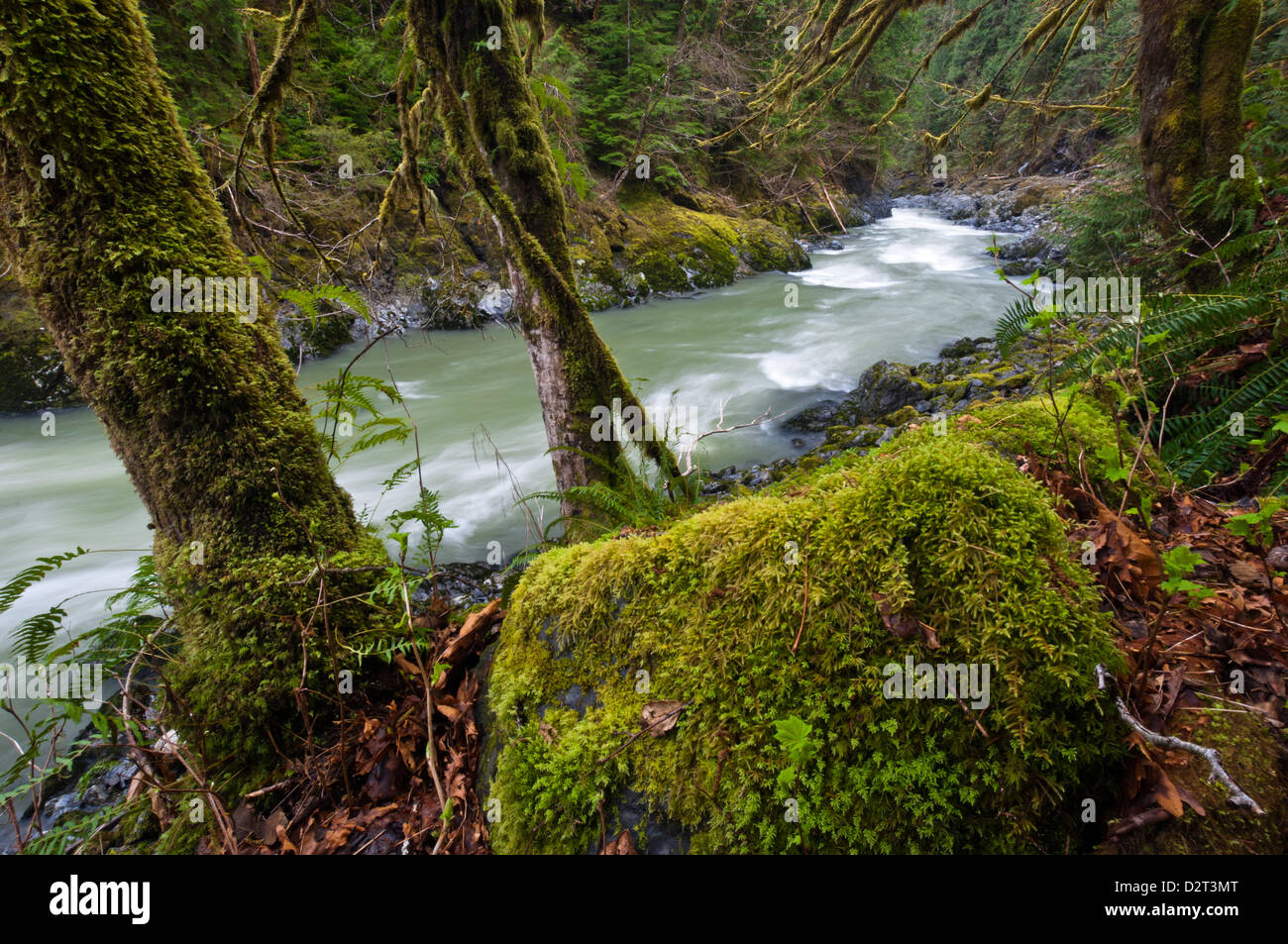 South Fork Stillaguamish River, Robe Canyon Historic Park, Snohomish ...
