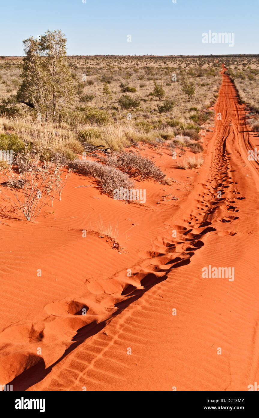 CANNING STOCK ROUTE, WESTERN AUSTRALIA, AUSTRALIA Stock Photo - Alamy
