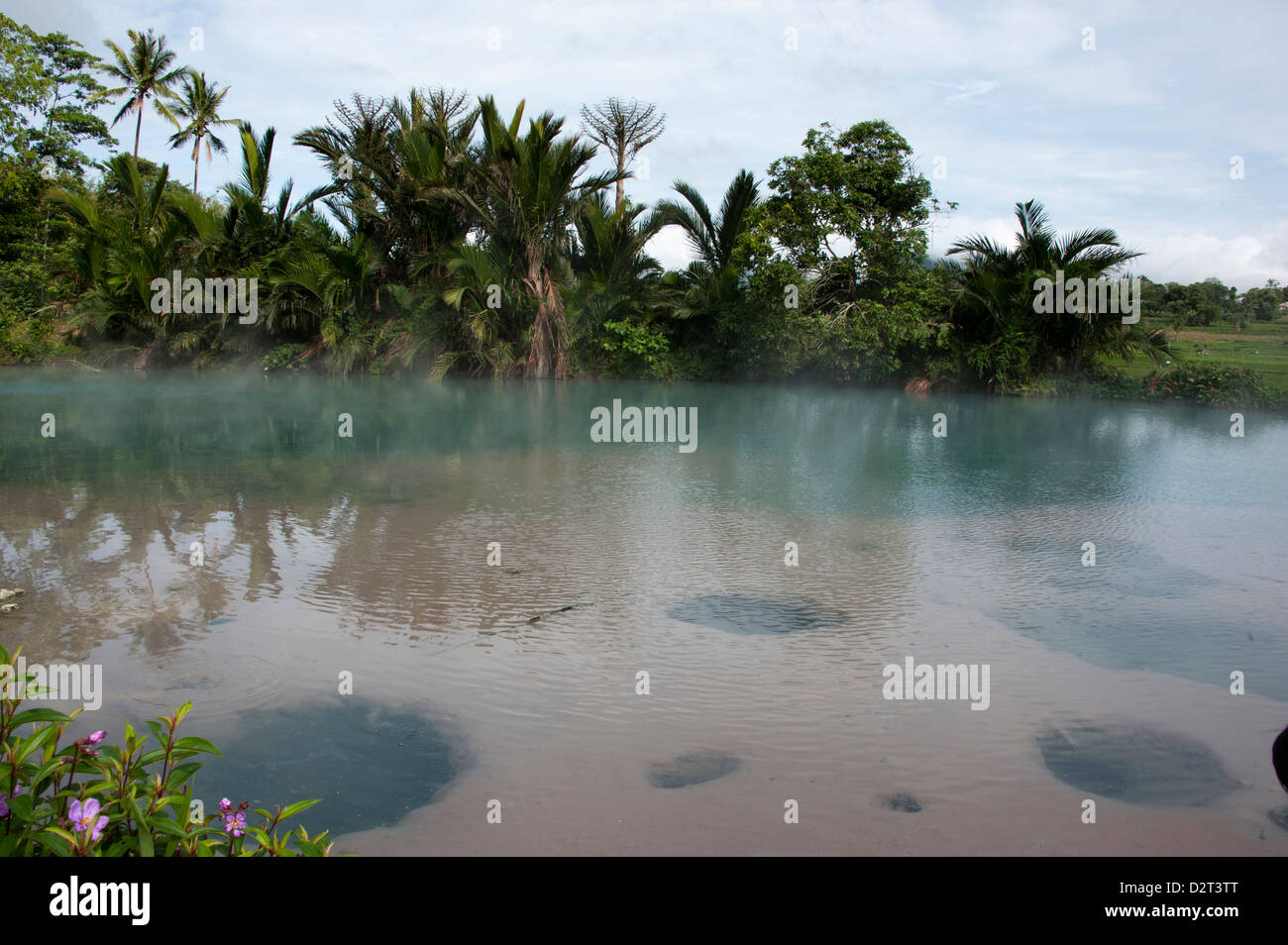 Hot spring pool, Sulawesi, Indonesia, Southeast Asia, Asia Stock Photo ...
