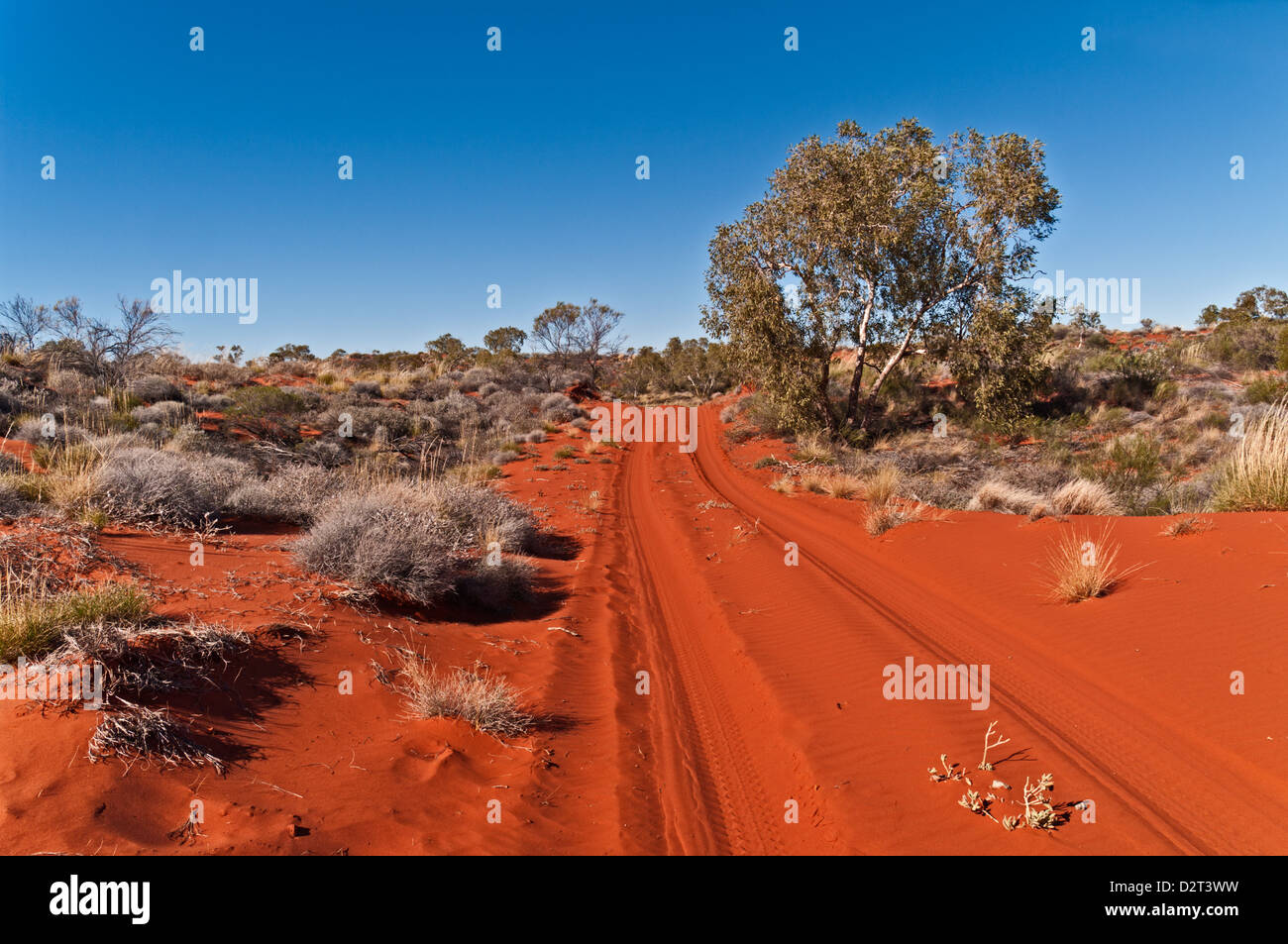 CANNING STOCK ROUTE, WESTERN AUSTRALIA, AUSTRALIA Stock Photo - Alamy