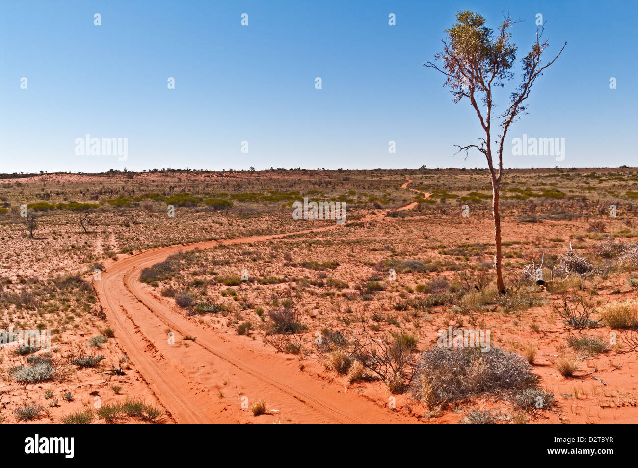 CANNING STOCK ROUTE, WESTERN AUSTRALIA, AUSTRALIA Stock Photo - Alamy