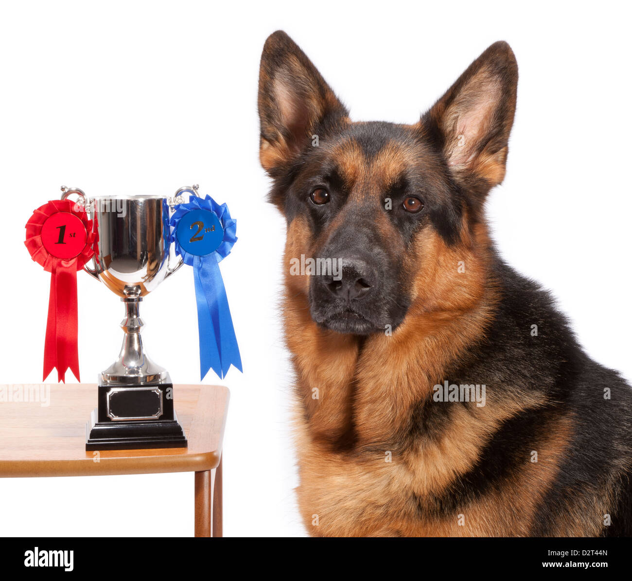 2nd place rosette hi-res stock photography and images - Alamy